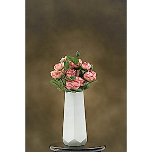 Kate Dark Blue Collapsible Backdrop for Photography Brown Pop Up Photo Backdrops Portable Folding Background for Portrait, Live Streaming, 5x6.5ft