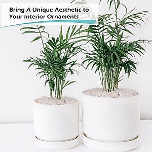 GASPRO 5 Pound Aquarium Gravel and White Pebbles, White Rocks for Plants, Vases, Natural Decorative Pebbles for Succulents, Terrarium, Cactus