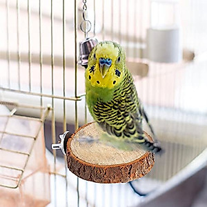 Parrot Wood Round Stand, Natural Wooden Bird Cage Chew Toy Bird Perch Platform for Canary Parakeet Cockatiel Parrot Sparrow