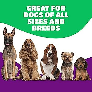 Lively Tails Dog Bones for Aggressive Chewers, Knee Caps for Dogs, Dog Bones for Large Dogs, Dog Bones for Medium Dogs and Small Dogs, Beef Bones for Dogs Long Lasting, Knee Bones for Dogs, 10 Count