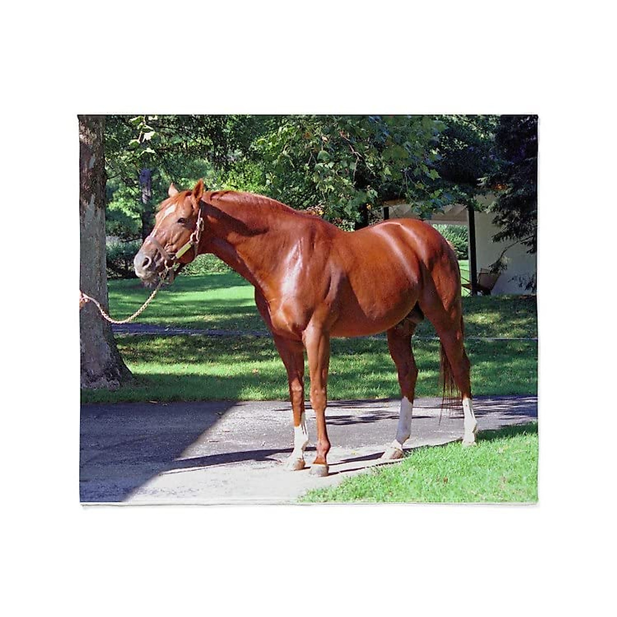 CafePress Secretariat Big Red Throw Blanket Super Soft Fleece Plush Throw Blanket, 60"x50"