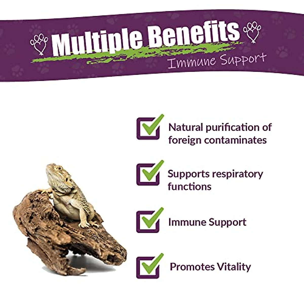 AMBER NATURALZ - REPTAID - Immune Support - for Reptiles Under 250g - 1 Ounce