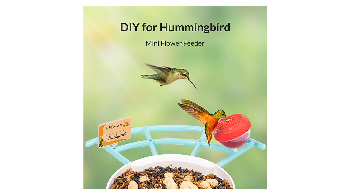 NETVUE Birdfy Pro Perch - Perfect for All Birds