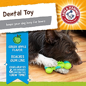 Arm & Hammer for Pets Nubbies Duality Bone Dental Dog Toy- Best Dog Chew Toy for Moderate Chewers- Dog Dental Toy Helps Reduce Plaque & Tartar- Green Apple Flavor Baking Soda (Pack of 1)