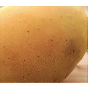 Changsun Creative Vivid 3D Potato Pillow Gift Plush Throw Pillow 19.5" (Big Size)