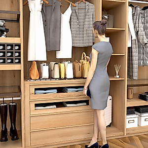 SPACEKEEPER Adjustable Shelf Divider for Closet, Clear Purse Organizers for Closet Acrylic Handbag Separators Storage Organizer Bookshelf Separator Dividers in Bedroom, Office