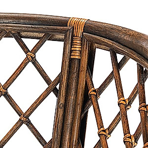 SAFAVIEH Home Collection Carlotta Natural Wash/White Cushion Living Room Dining Room Bedroom Office Foyer Arm Chair