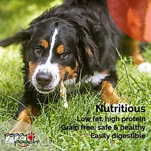 Peppy Pooch Turkey Tendons for Dogs – 8 oz Bag - All-Natural Dog Treat Chew Stick - Made in USA.