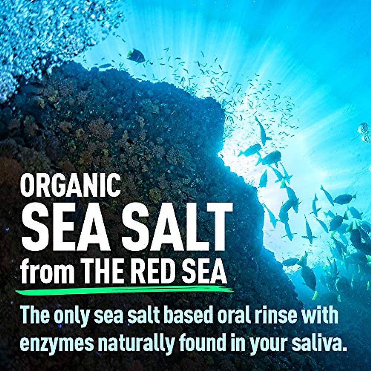 H2Ocean Healing Rinse Mouthwash- Great Tasting Sea Salt & Xylitol Mouth Wash for Fresh Breath & Dry Mouth - Alcohol & Fluoride Free - Arctic Ocean Mint 8oz