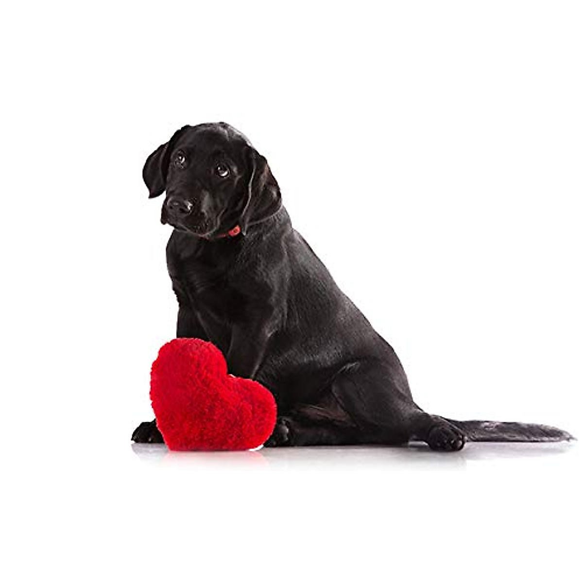 HAPPY PET VITAMINS LLC Dog Heart Supplement - Dog Omega 3 - Healthy Skin Coat and Joints - Brain and Heart Health - Allergy Relief - Omega 3's for Dogs - 2 Bottles (360 Softgels)