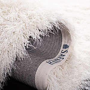 SAFAVIEH Venice Shag Collection Accent Rug - 2' x 3', Pearl, Handmade Glam, 3-inch Thick Ideal for High Traffic Areas in Entryway, Living Room, Bedroom (SG256P)