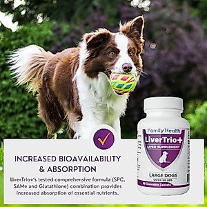 LiverTrio+ Comprehensive Liver Support Supplement for Smaller Dogs. Flavorful Chewable Tablets Combining Same, SPC, Silybin A+B, + Glutathione 30Ct (Small - Medium)