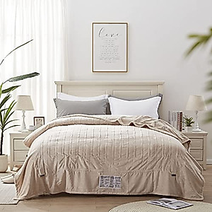 Westinghouse Electric Blanket Queen Size, Super Cozy Soft Flannel 84" x 90" Heated Blanket with 10 Fast Heating Levels & 1-12 Auto-Off, Machine Washable, ETL&FCC Certification, Beige