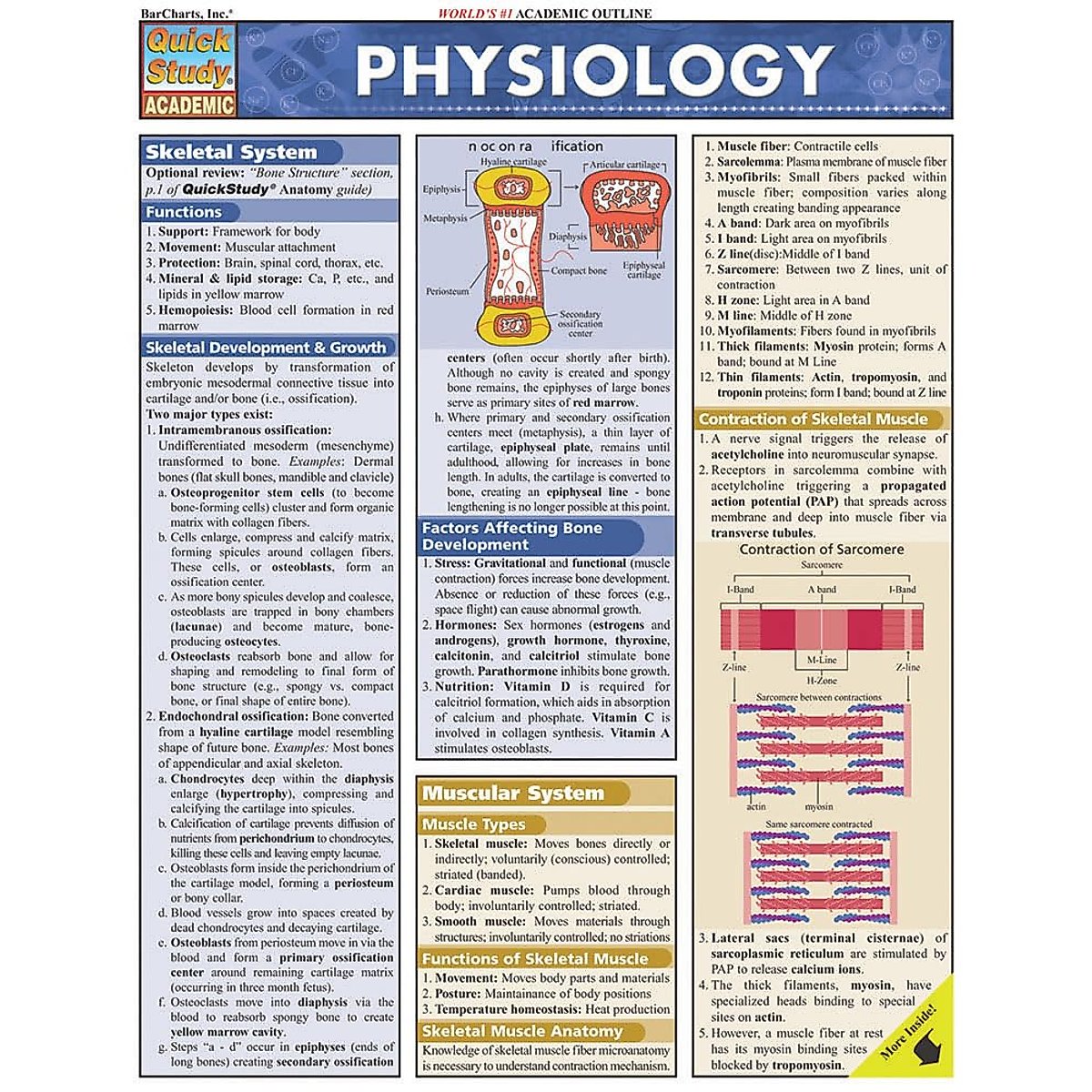 Physiology QuickStudy Laminated Reference Guide (QuickStudy Academic)