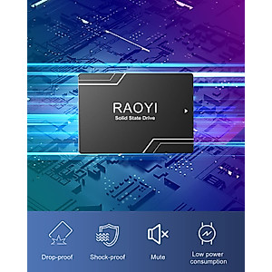 RAOYI 1TB Internal SSD SATA III 6Gb/s 2.5”Solid State Drive 3D NAND Flash Advanced SSD Hard Drive Up to 550MB/s SATA 3 SSD Upgrade Performance for PC Laptop