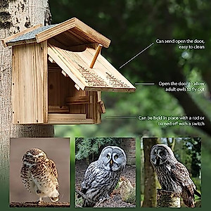Owl House Barn Owl Box Screech Owl House with Bird Stand Great Horned Owl Box Bird Houses for Outside Large Handmade Wooden Rectangular Opening Bird Box,with Mounting Screws, Easy Assembly