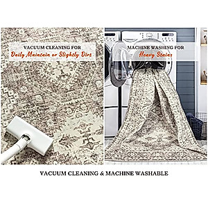 Rugland Stain Resistant Washable Rug, Anti Slip Backing Rugs for Living Room, Boho Vintage Tribal Area Rugs (TPR07-Ivory, 8'x10')