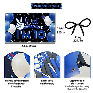 Happy 10th Birthday Backdrop Banner, 10th Birthday Decorations for Boys Girls, Funny Double Digits 10 Years Old Birthday Party Photo Props Background Yard Sign Decor Supplies, Fabric, Vicycaty