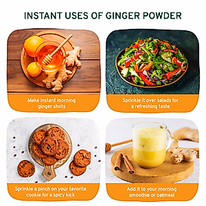 SPICE TRAIN, Ginger Powder (14oz/397g) No Additives, No Preservatives, No Fillers | Ginger Root Powder from India | Raw, Gluten Free, Non GMO | Perfect for Cooking, Baking | Resealable Zip Lock Pouch