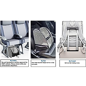 Texsens Innovative Traveler Bubble Backpack Pet Carriers for Cats and Dogs (Black)