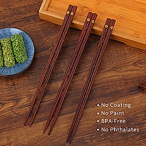 HuaLan Japanese Natural Wood Chopstick Set Reusable Classic Style Chopsticks Non-slip Design Chop Sticks 5 Pairs Gift Set