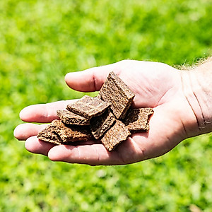 Los Ciervos Venison Jerky Dog Treats