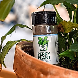 Perky Plant | Water Soluble Organic House Plant Food Fertilizer | Formulated for Live Indoor House Plants | Simply Shake in Watering Can or Plant Pots