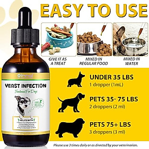 Dog Yeast Infection Treatment, 4 Fl Oz Natural Yeast Infection Treatment for Dogs Supports Dog Skin Itch Relief, Dog Ear Infection & Allergy Relief, Pet Supplies Dog Ear Care, Bacon Flavor - 2 x 60ml