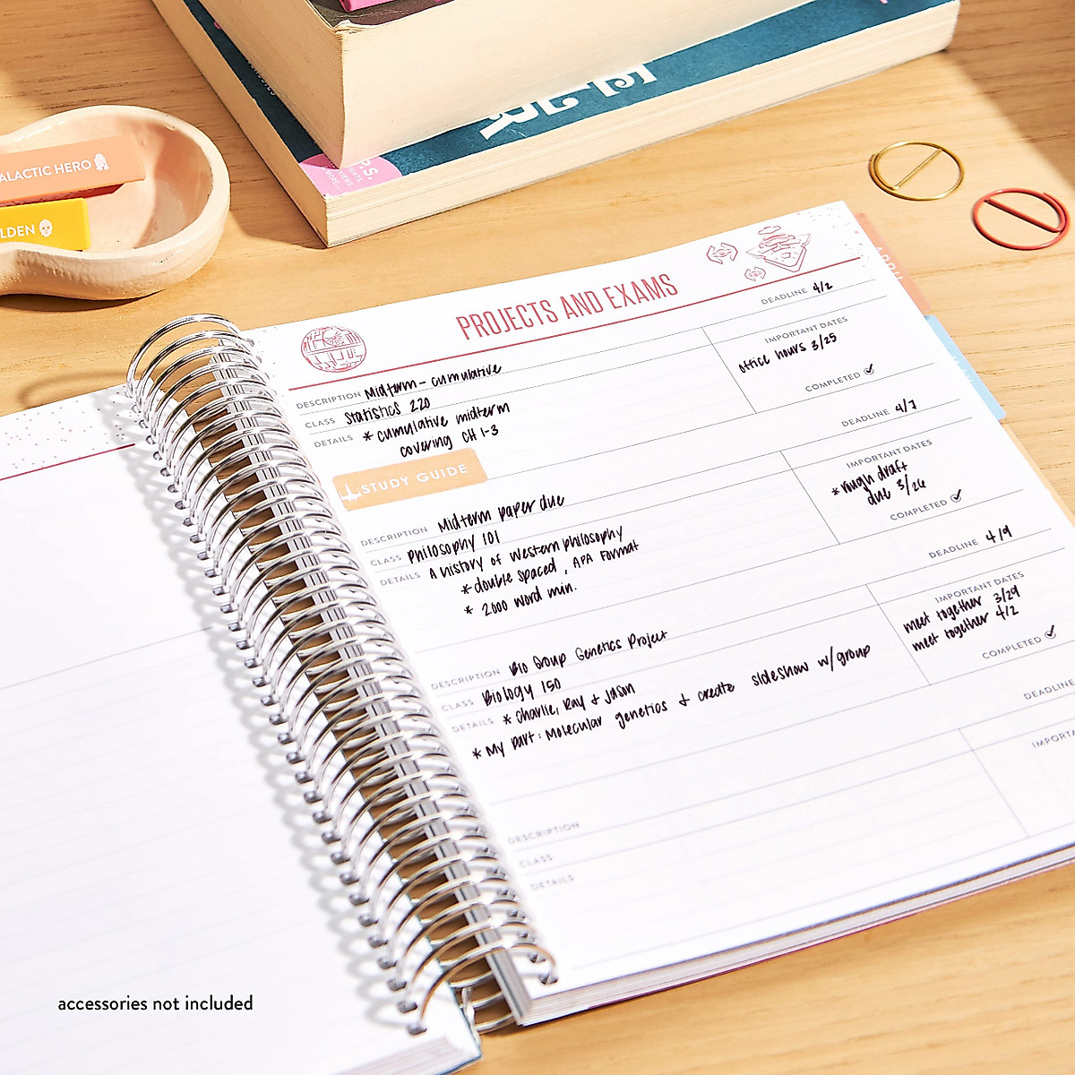 Erin Condren 7x9 Coiled Academic Planner (July 2024 - June 2025) - Watercolor Leia Cover, Star Wars Theme, Platinum Coil