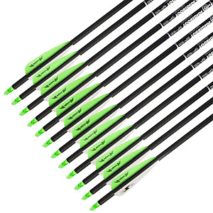 31inch Carbon Arrow Archery Targeting Practice Hunting Arrows for Compound & Recurve Bow with Removable Tips(Pack of 12) (Green White)
