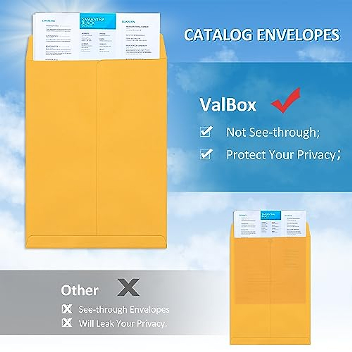 ValBox 6x9 Self Seal Catalog Security Envelopes 250 Count Small Brown Kraft Envelopes for Mailing, Storage and Organizing