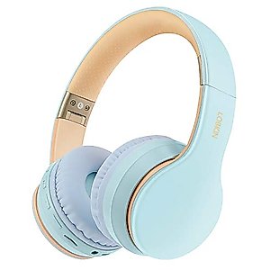 LOBKIN Over Ear Headphones with Microphone, Stereo Hi-Fi Sound Noise Cancelling Headphones, Portable FM Radios TF Foldable Headsets Wireless Bluetooth Headphones (Powder Blue)