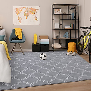 Chicrug Shag Geometric Modern Area Rug for Bedroom, 4x6 Feet Memory Foam Indoor Carpet, Fluffy Rug for Living Room Bedside Room Decor for Family Girls Kids Nursery Play Mat, Grey/White