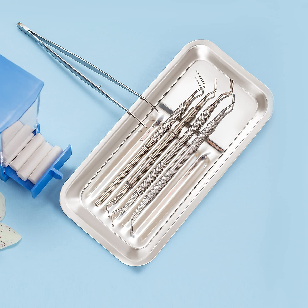 NUOMI Medical Surgical Tray Stainless Steel Instrument Trays Organizer 2 Pack Dental Procedure Tray Tools