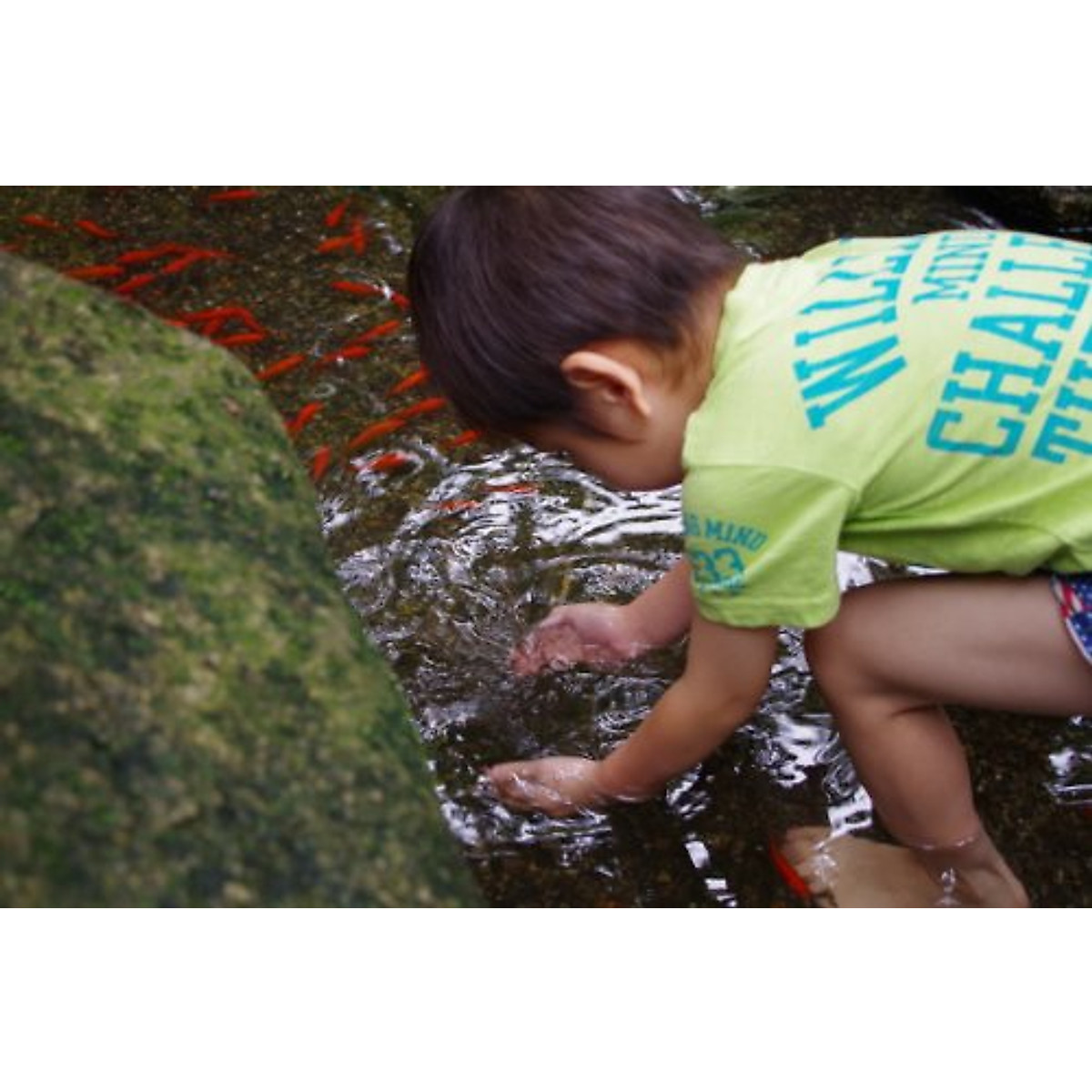 Pentax K-50 DSLR Camera with 18-55mm WR and 55-300mm Lenses - International Version