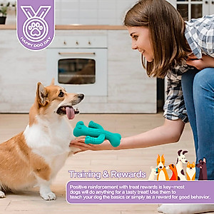 Medlladle Dog Chew Toys Cactus for Aggressive Chewers Small Breed, Indestructible Tough Dog Toys for Puppies Teeth Cleaning, Pet Toy with Durable Natural Rubber