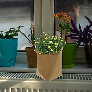 BESTOYARD 2pcs Bags for Planting Small Paper Bag Organizers Brown Paper for Leaves Refrigerator Containers Kraft Bags Plant Basket Paper Garden Ornament Container Decorations Washable