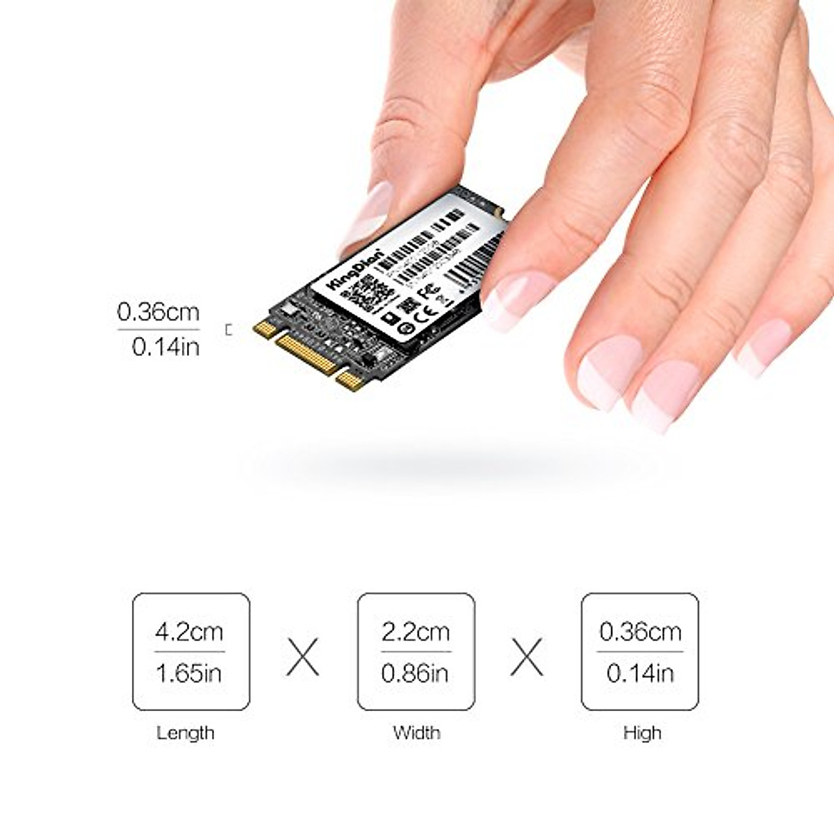 KingDian M.2 NGFF SSD 120GB 240GB 512GB 1TB Solid State Drive Disk 2242 for Desktop PCs and MacPro (120GB)