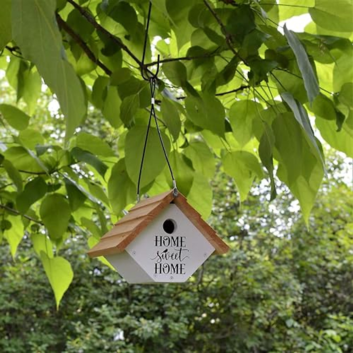 Wild Wings WWLH2-DECO Farmhouse Wren House, White