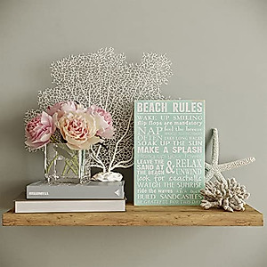 Barnyard Designs 'Beach Rules' Wooden Box Sign Motivational Desk Decor, Primitive Decor Office Desk Decorations for Women Office Bathroom Shelf Decor, Inspirational Desk Decor, 8x12