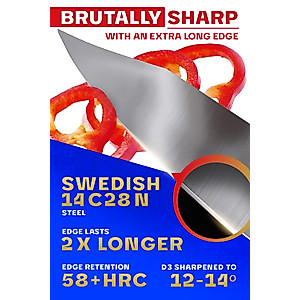 Dalstrong Chef Knife - 10 inch - Centurion Series - Premium Swedish 14C28N High Carbon Stainless Steel - G10 Handle Kitchen Knife - Razor Sharp Chef's Knife - Cooking Knife - Sheath Included