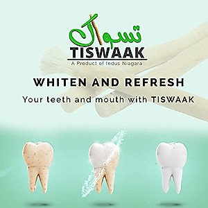 TISWAAK - Pack of 12 Miswak Stick Natural Teeth Whitening Kit – Muslim Natural Flavored Herbal Toothbrush Miswak Sticks Vacuum Sealed with Holder for Healthy Gums, Teeth & Fresher Breath || Pack of 12