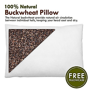 Daiwa Felicity 100% Natural Premium Buckwheat Sobakawa Pillow with Pillow Protective Cover (2 Pack)