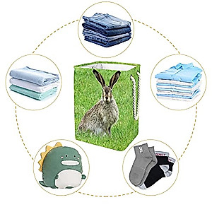 DEYYA Waterproof Laundry Baskets Tall Sturdy Foldable Wild Rabbit Bunny Hare Nature Grassland Print Hamper for Adult Kids Teen Boys Girls in Bedrooms Bathroom
