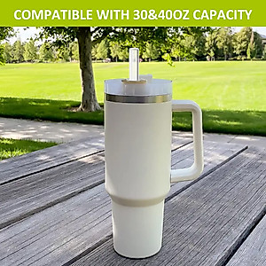 Bubbola Reusable Straws Compatible for Stanley Cup Straw 40 oz Replacement, Adventure Travel Tumbler Straws with Cleaning Brush, 12 inch Extra Long Tritan Plastic Straws for 40 oz
