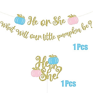 Pumpkin Gender Reveal Decorations Fall Gender Reveal Decorations He or She What Will Our Little Pumpkin Be Banner He or She Cake Topper He or She Fall Baby Gender Reveal Party Supplies