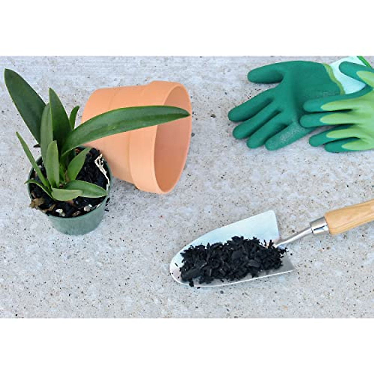 Horticultural Charcoal for Indoor Plants (2 Quarts), Hardwood Soil Amendment for Orchids, Terrariums, and Gardening
