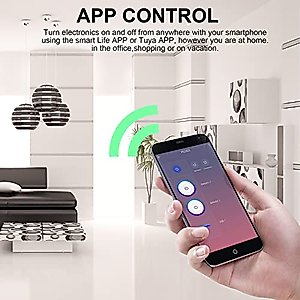 Toxaoii Mini WiFi Smart Plug, Outlet Extender Dual Socket Plugs with USB, Surge Protector with Remote Control and Timer Function, Compatible with Alexa, Google Assistant, No Hub Required