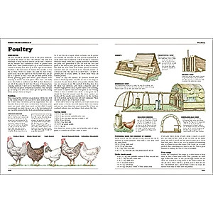 The Self-Sufficient Life and How to Live It: The Complete Back-to-Basics Guide