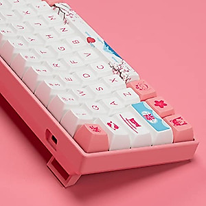 Akko World Tour Tokyo 3061S 60% Pink Wired Mechanical Gaming Keyboard, RGB Backlit, Hot-swappable Wired with OSA Profile PBT Keycaps and NKRO (Jelly Pink Switches)